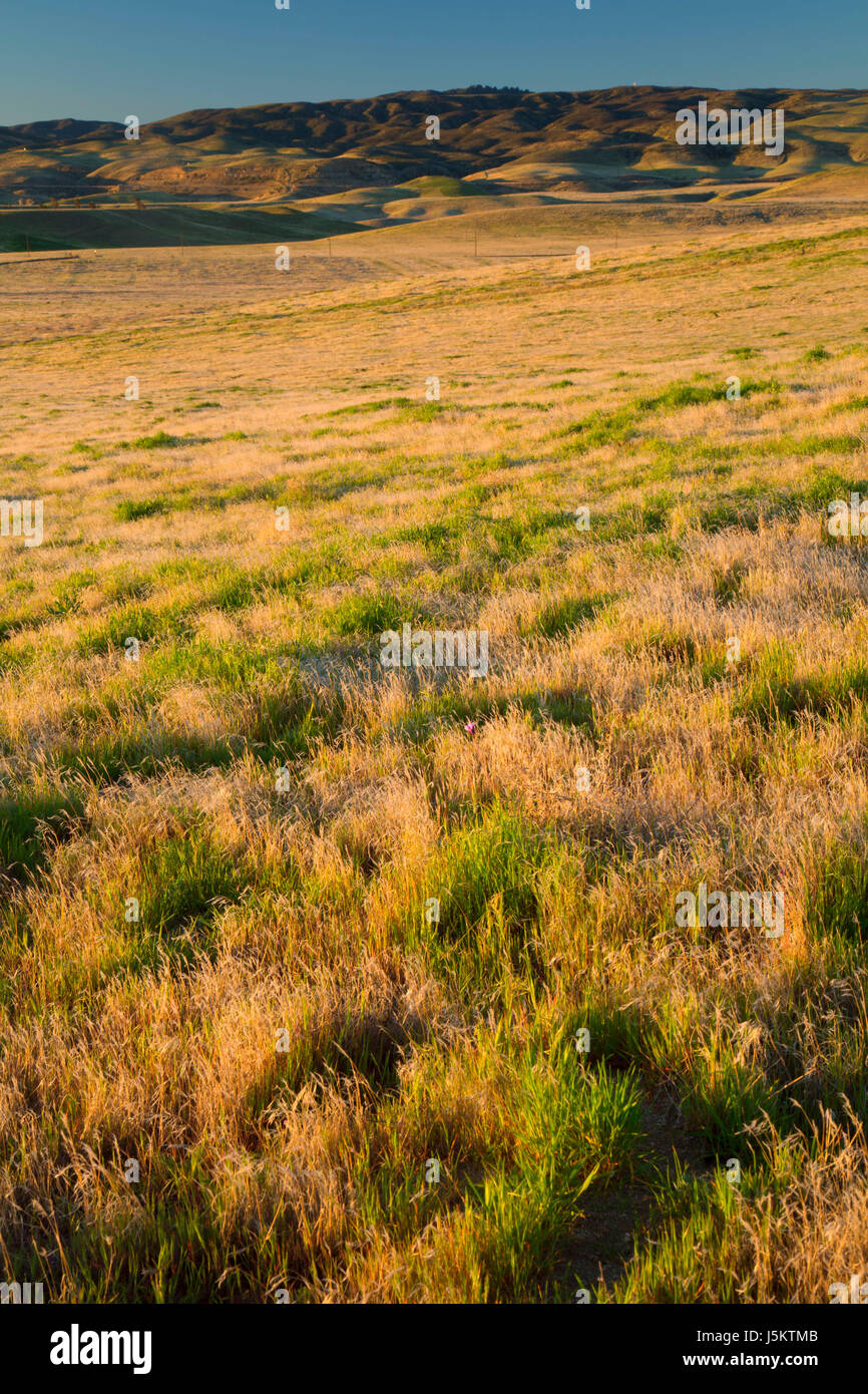 Palmdale california hi-res stock photography and images - Alamy