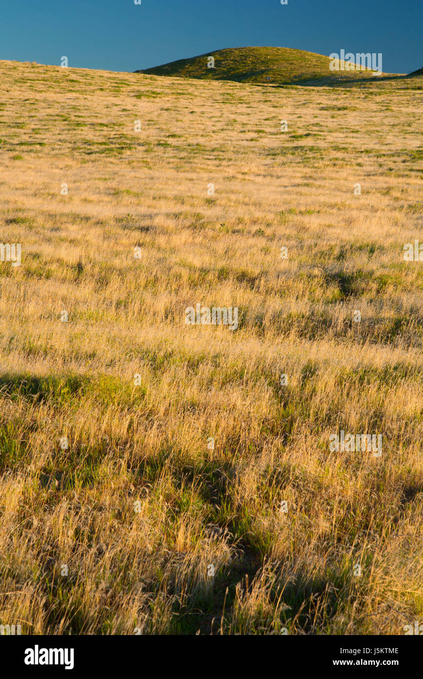 Rolling grassland hi-res stock photography and images - Alamy