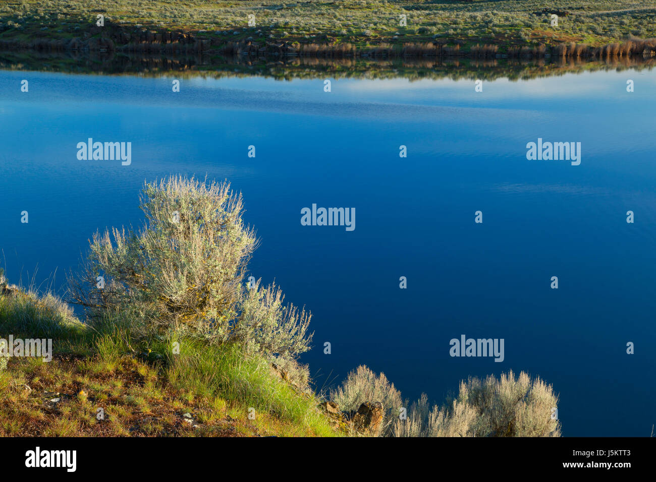 Quincy lakes unit hi-res stock photography and images - Alamy
