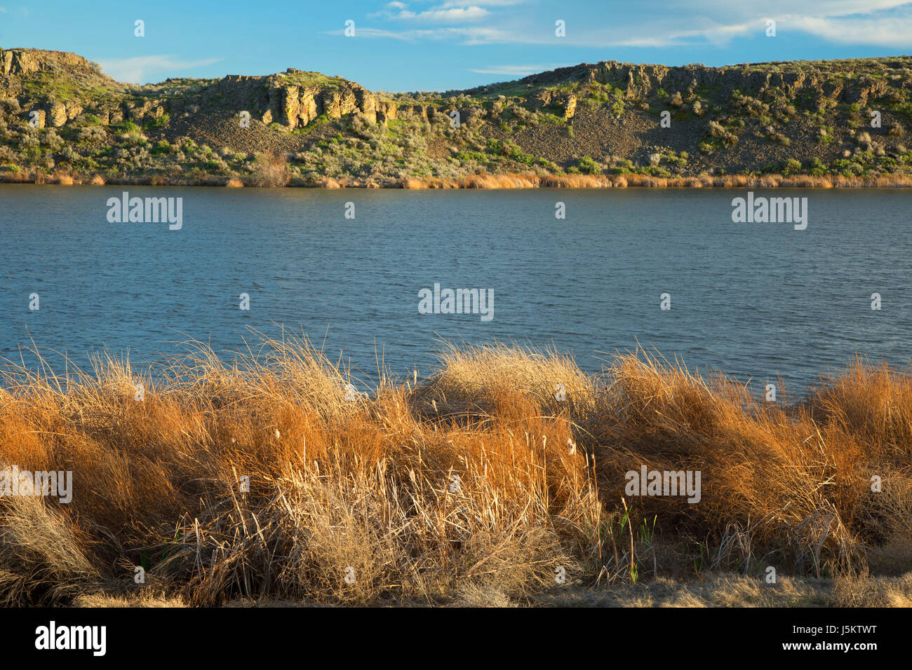 Stan Coffin Lake, Quincy Lakes Unit - Desert Basin Wildlife Area ...