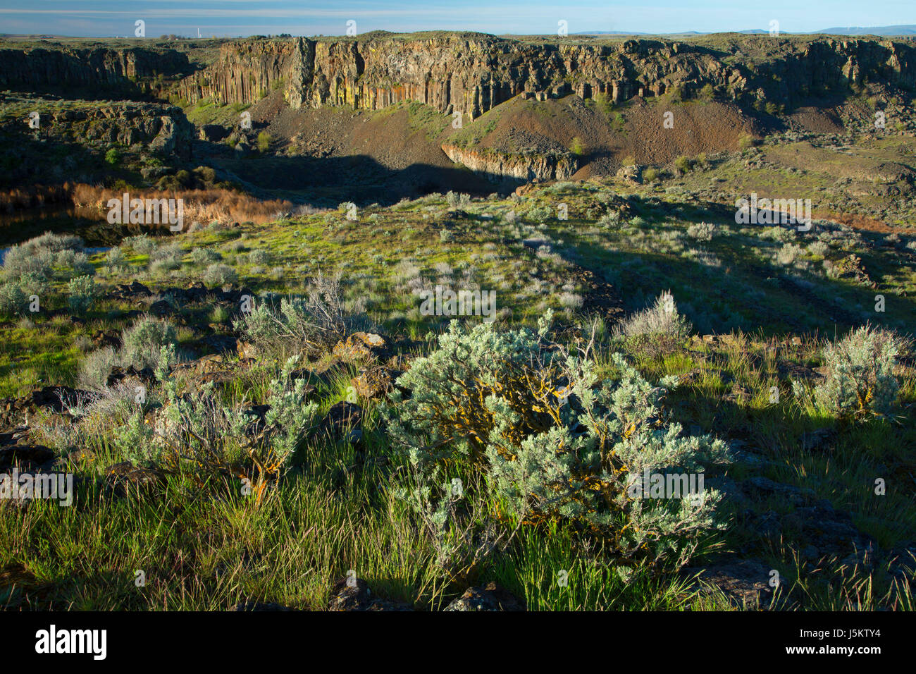 Sagebrush along Ancient Lake Trail, Quincy Lakes Unit - Desert Basin ...