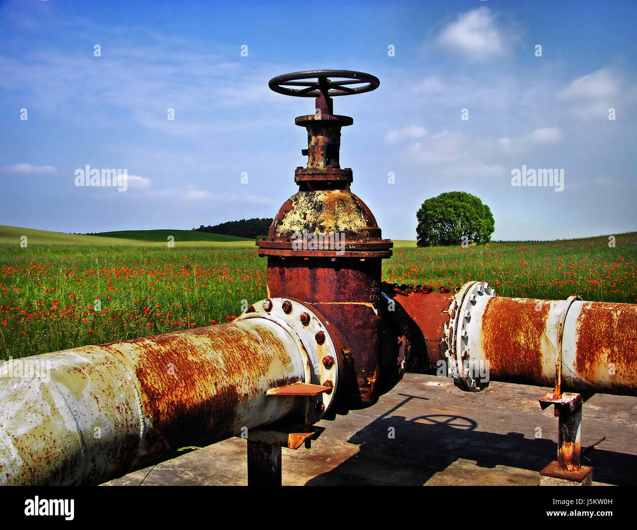 environment enviroment tree trees agriculture farming field flower ...