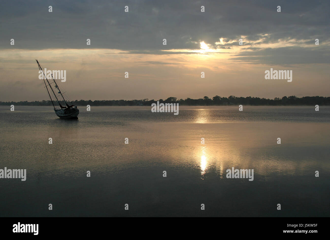 shine shines bright lucent light serene luminous holiday vacation ...