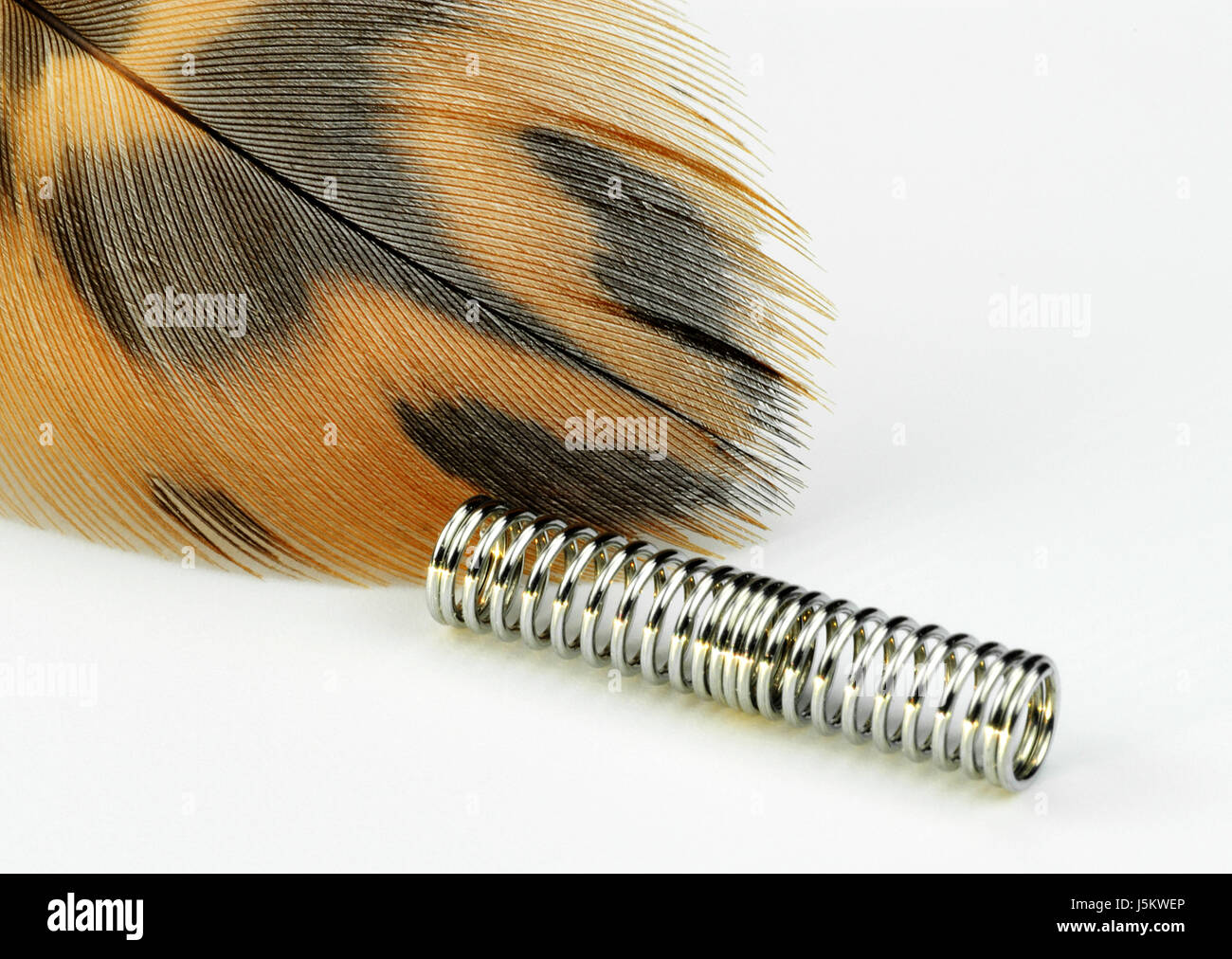 Steel feathers hi-res stock photography and images - Alamy