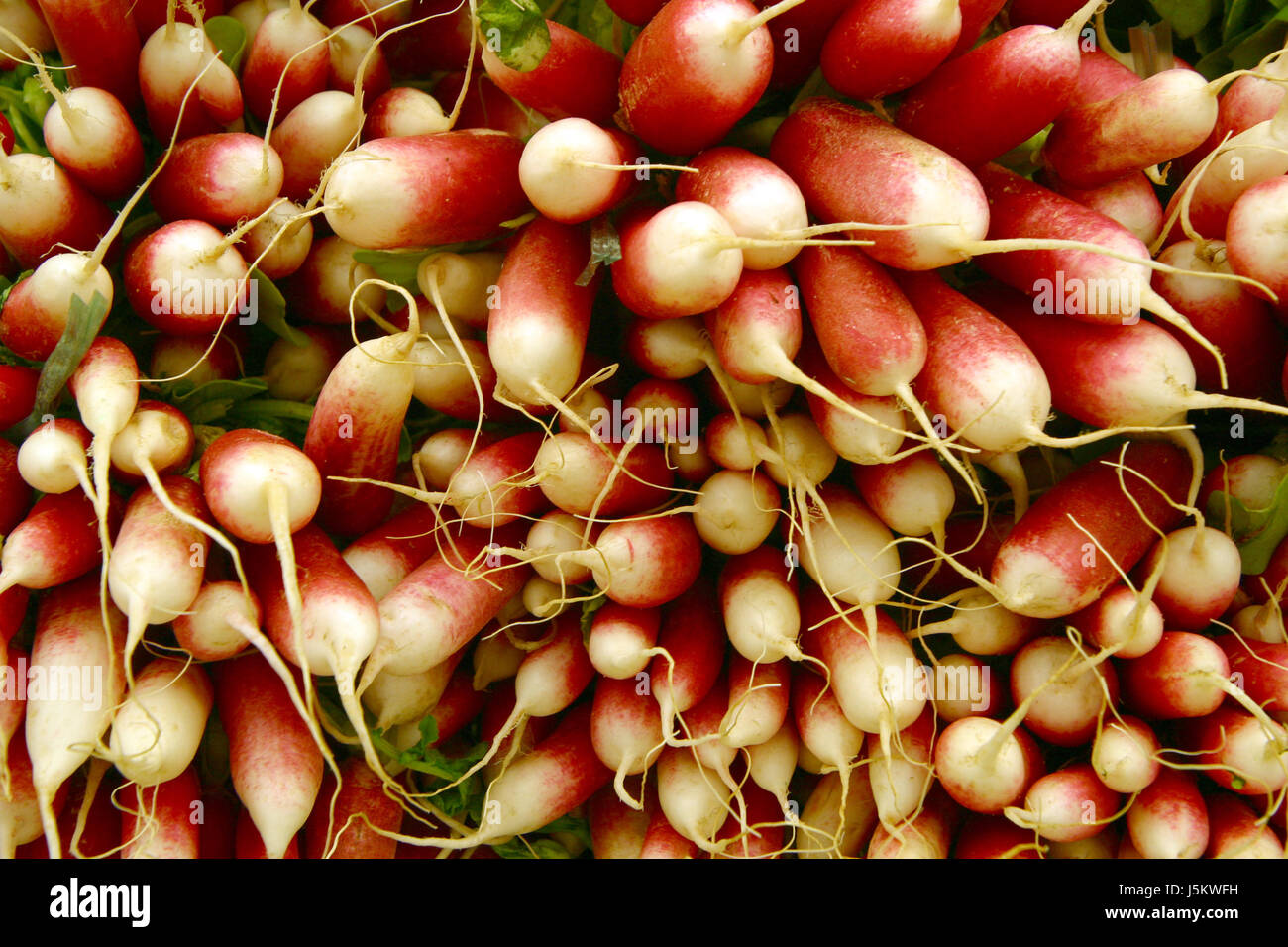 eco colour coloured colourful gorgeous multifarious richly coloured ...