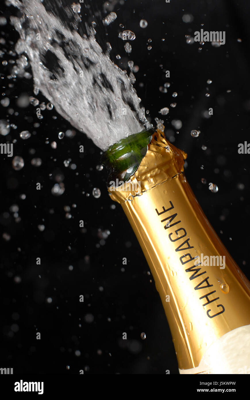 celebrate reveling revels celebrates alcohol party celebration bottle ...
