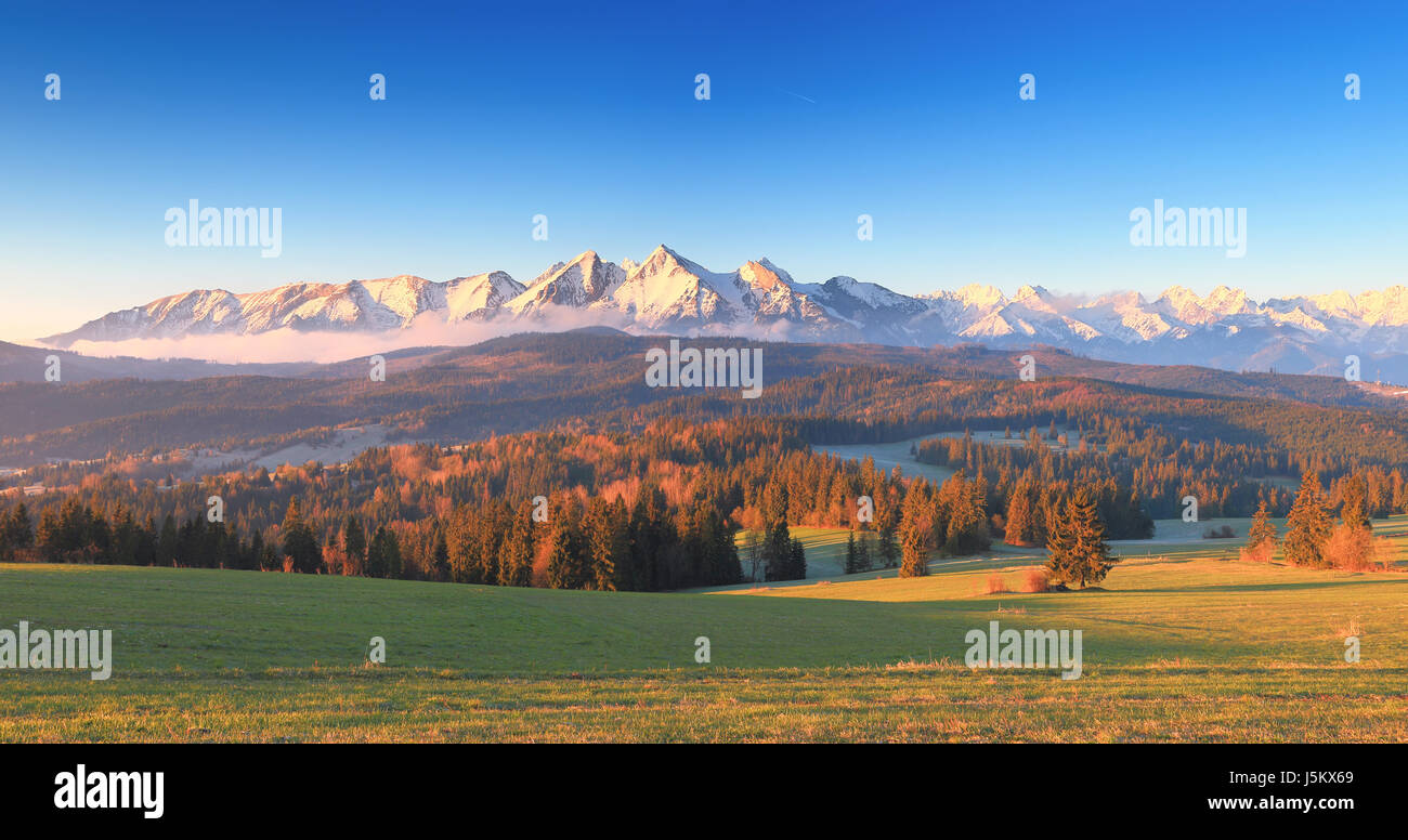 Sunny morning in the Alps. Green alpine valley in the morning. Sun ...