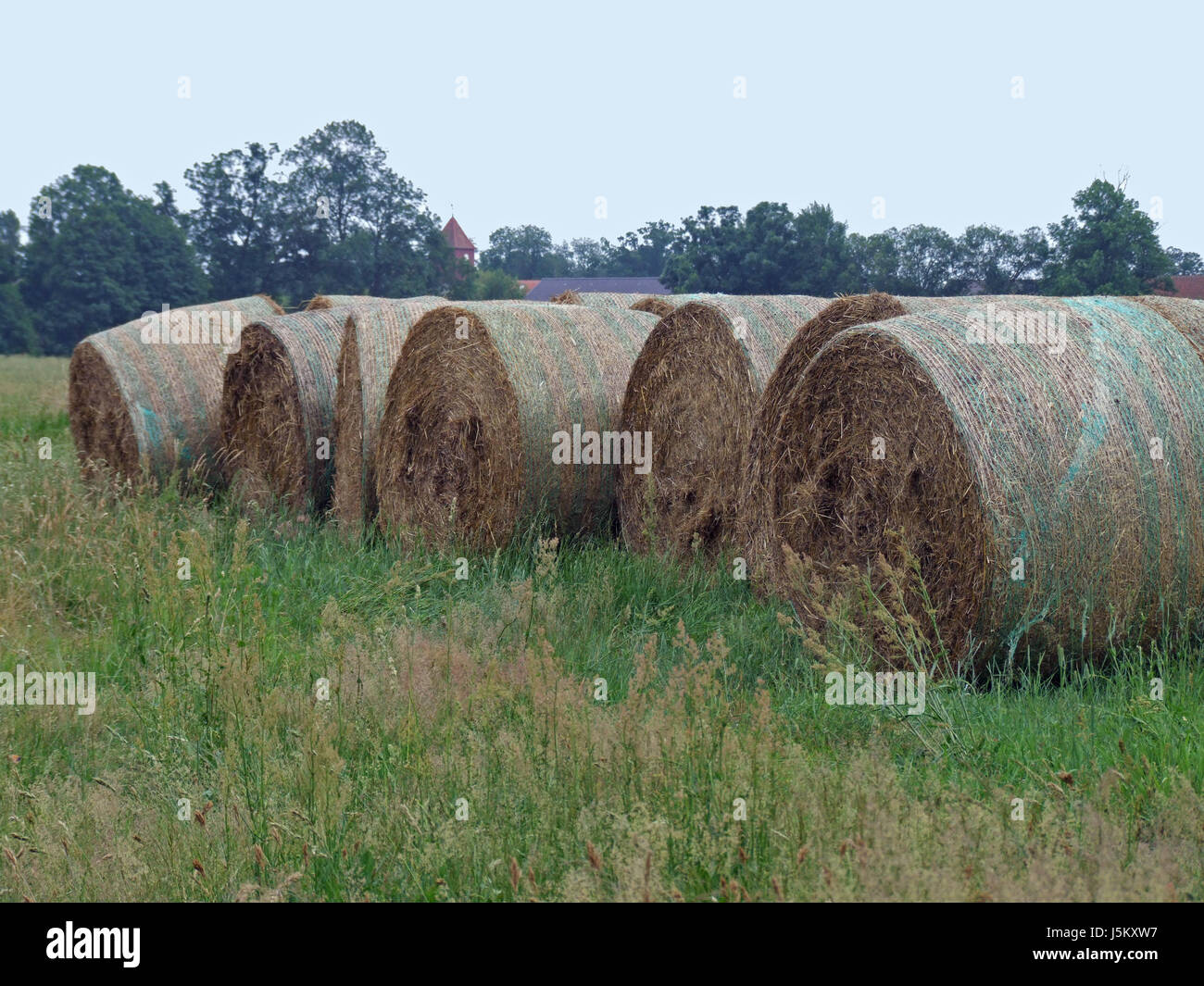 the straw rolls Stock Photo - Alamy
