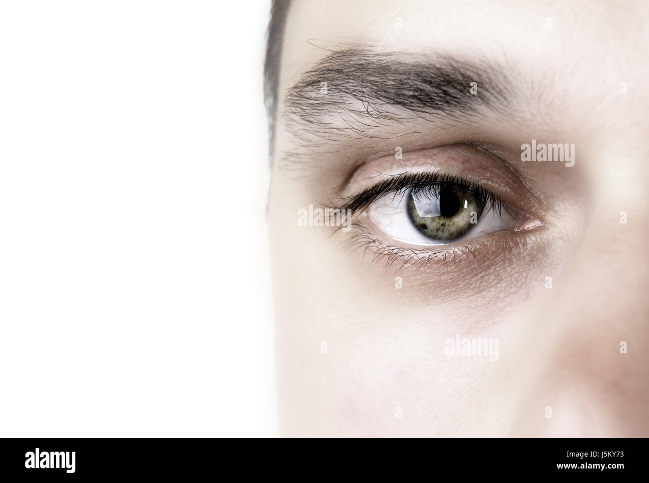 green portrait eye organ human human being person look glancing see ...