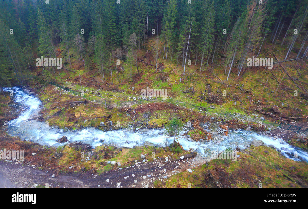Mountain river in forest from above. Aerial view of Alpine forest with ...