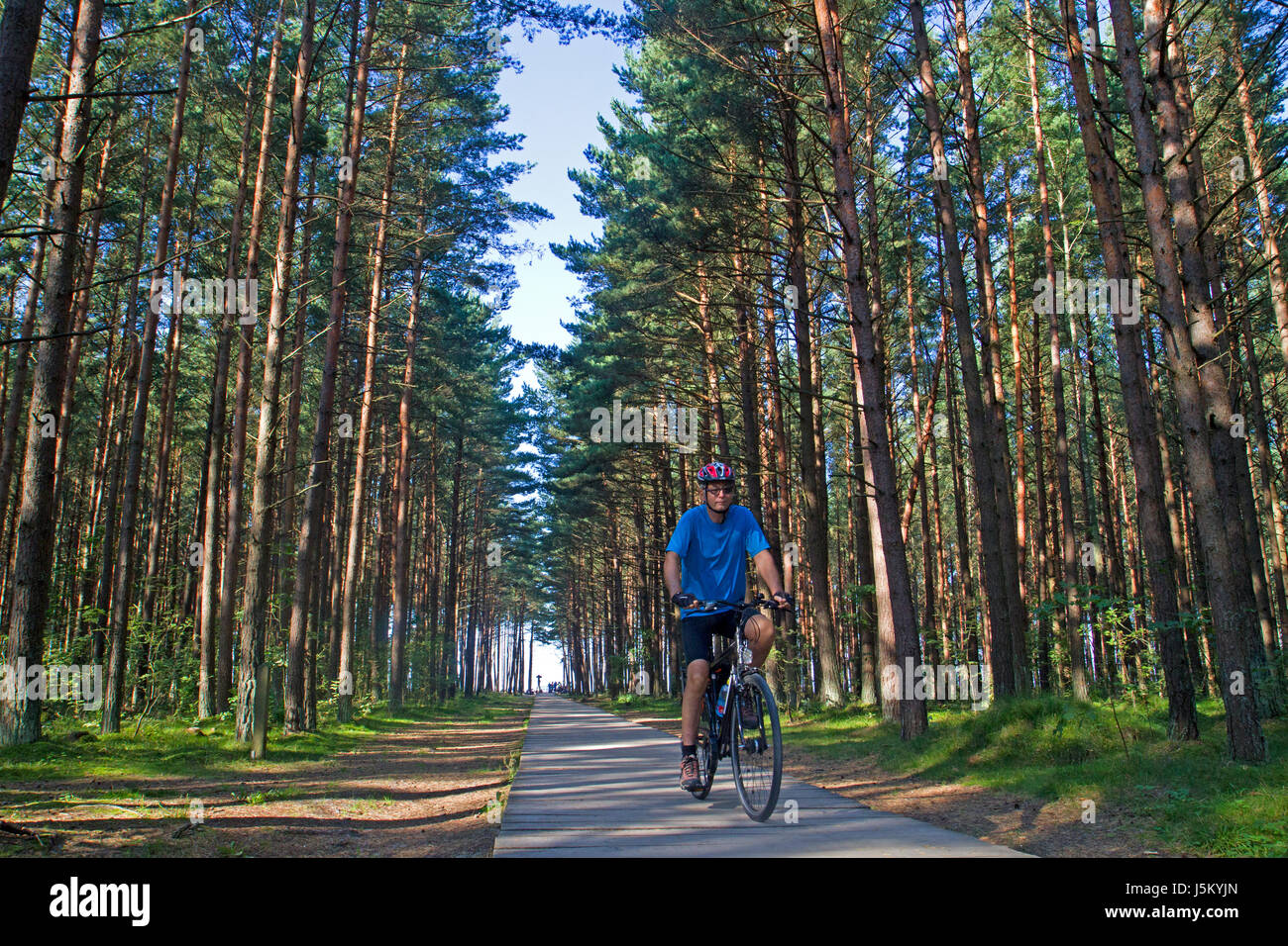 Cycling on the Seaside Cycle Route in Lithuania Stock Photo - Alamy