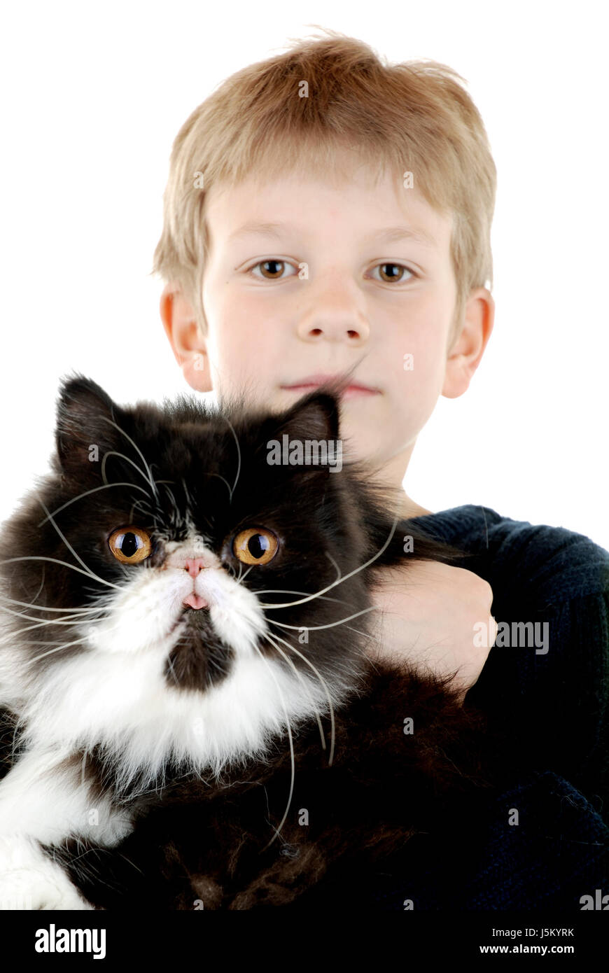 boy with cat Stock Photo - Alamy