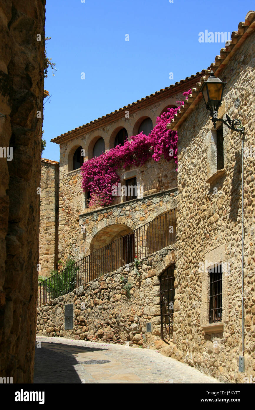 old town tenements house building window porthole dormer window pane ...
