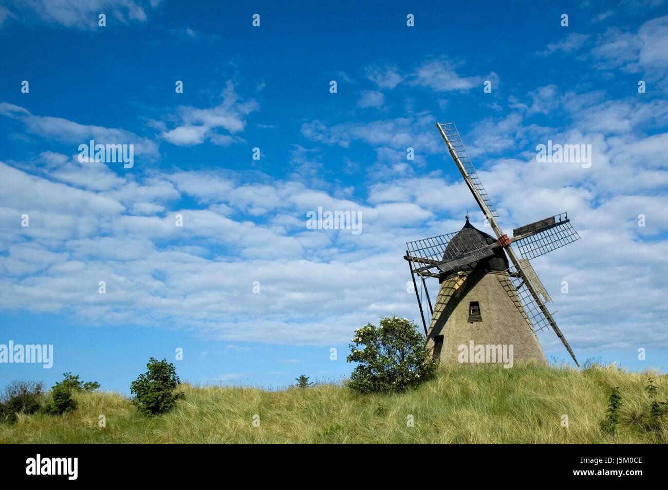 beautiful beauteously nice wood nostalgia denmark grasses windmill ...