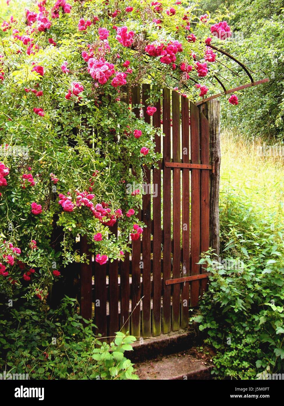 garden heaven paradise wild flower flowers plant goal passage gate ...