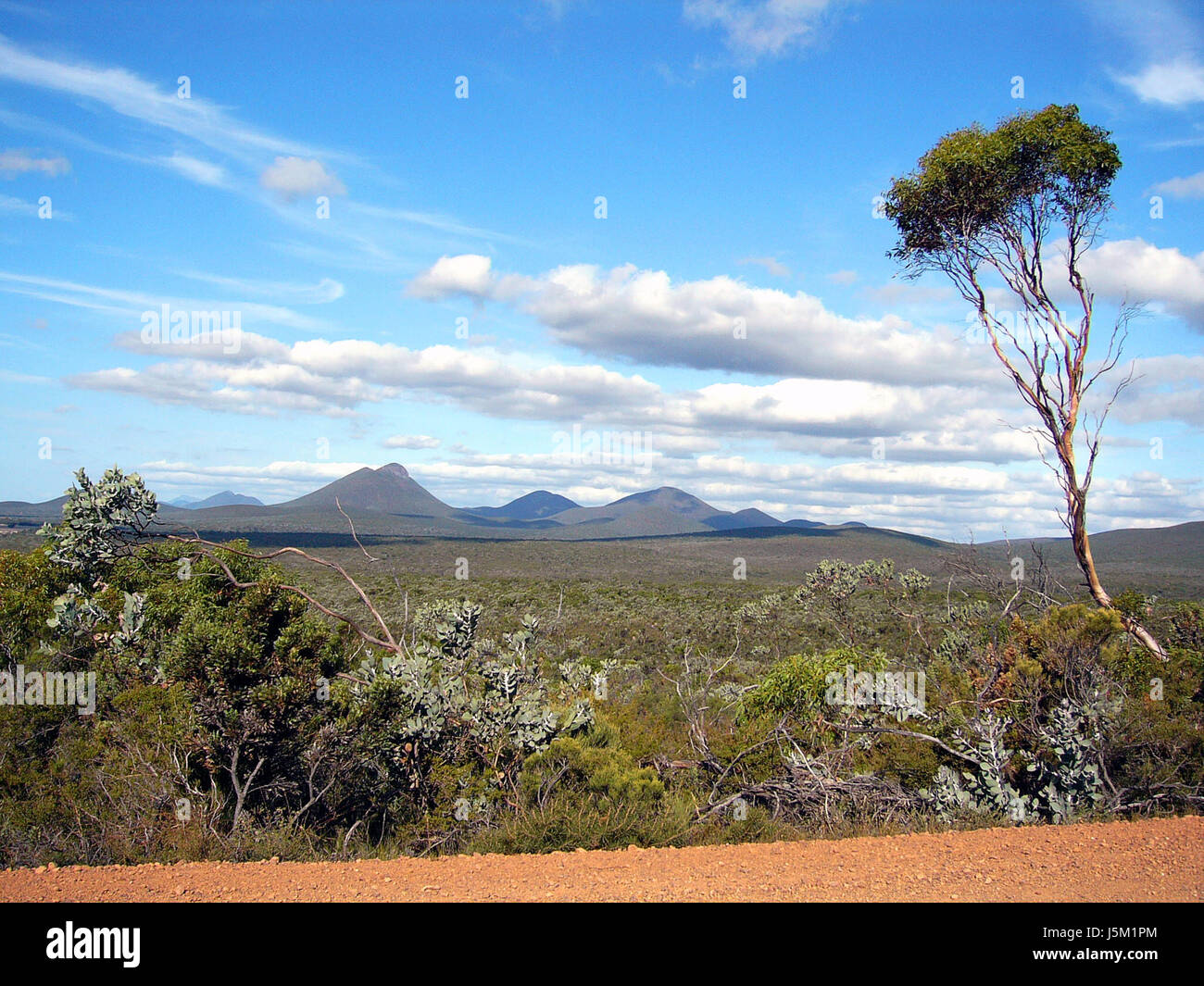 blue tree trees hill mountains park green national park australia ...