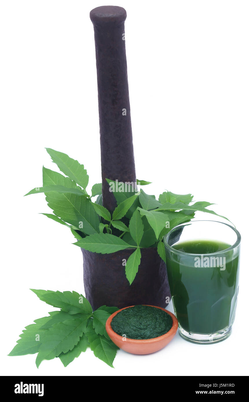 Medicinal Vitex Negundo leaves with extract juice Stock Photo - Alamy