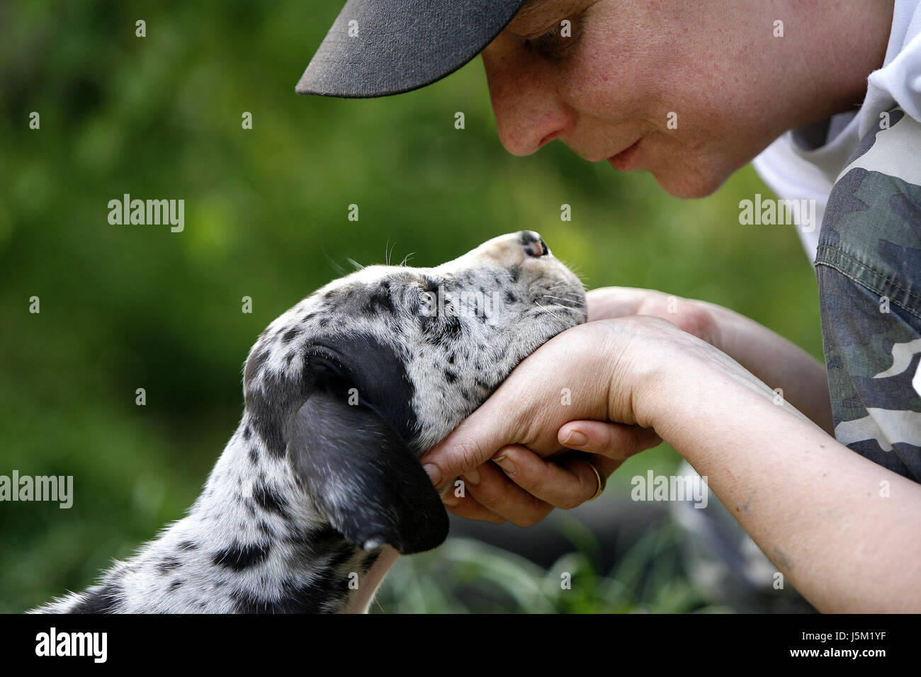 woman look glancing see view looking peeking looking at dog dogs puppy ...