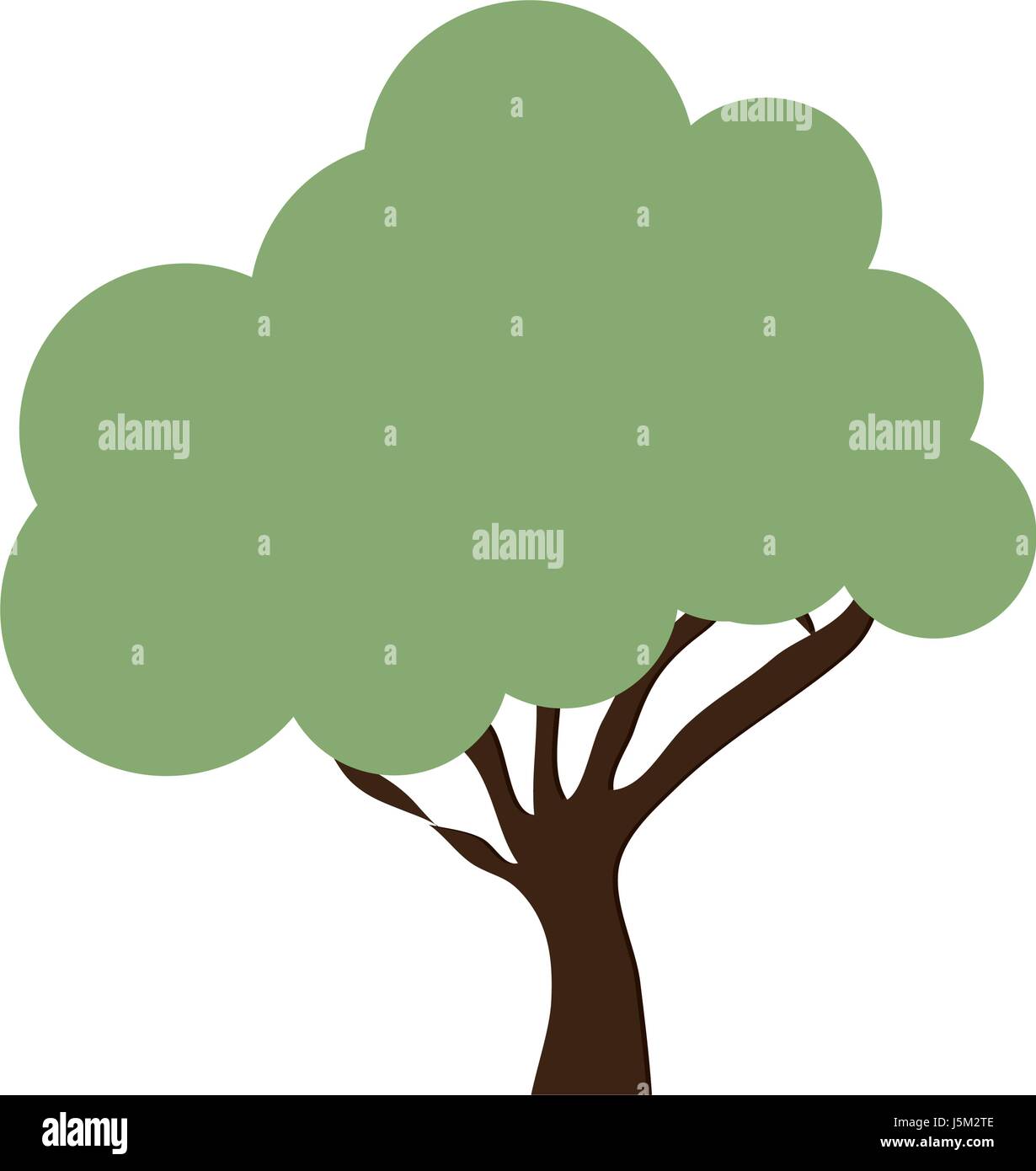 tree icon image Stock Vector Image & Art - Alamy