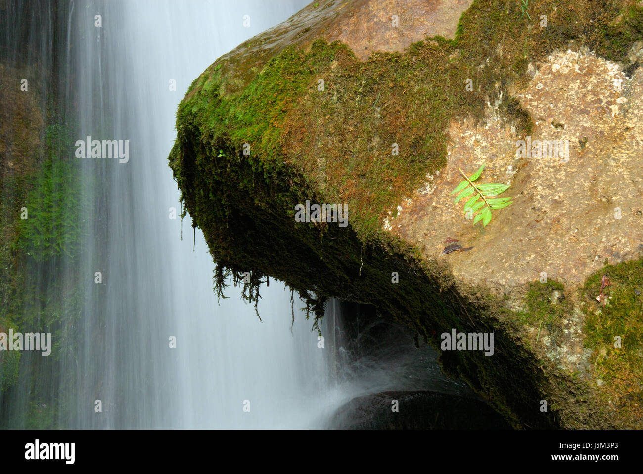 an invigorating moment Stock Photo - Alamy