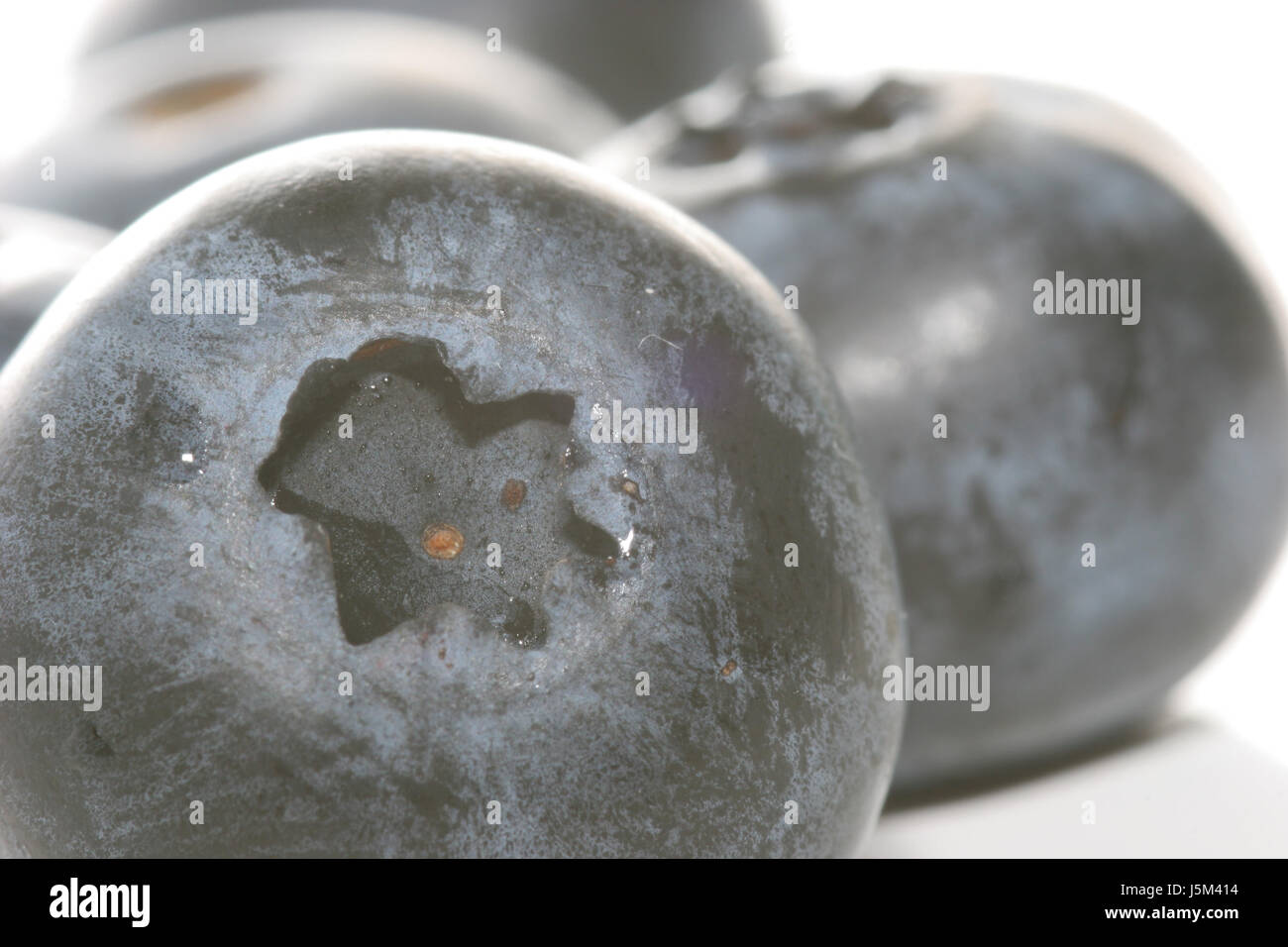 blue optional progenies fruits fruit cut kernels huckleberries halved ...