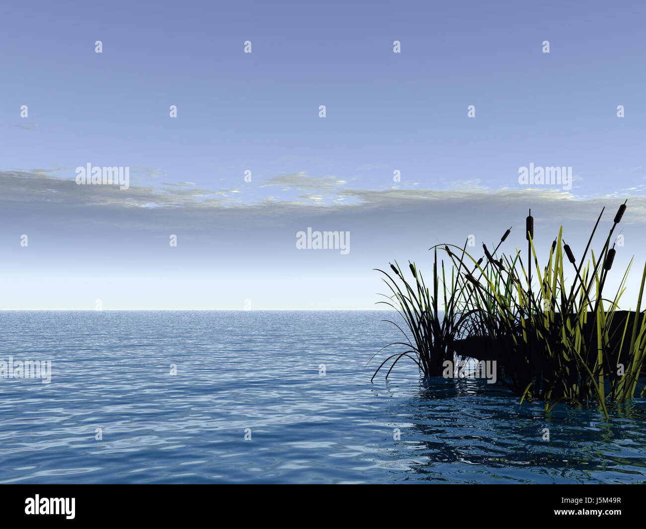 horizon plant waves reed illustration firmament sky salt water sea ...