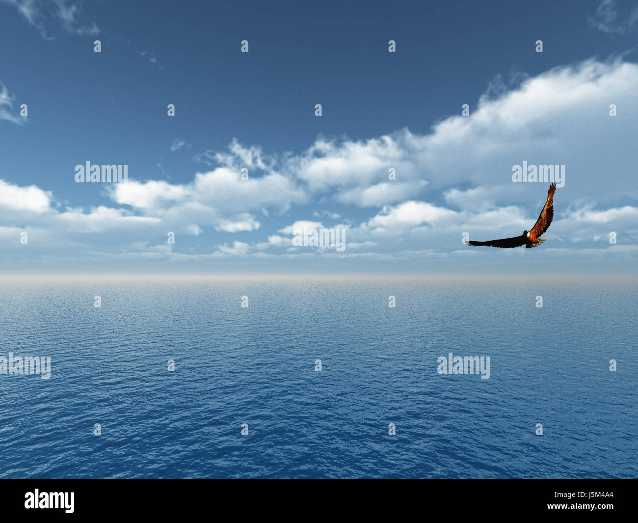 horizon bird birds waves illustration float eagle free firmament sky ...