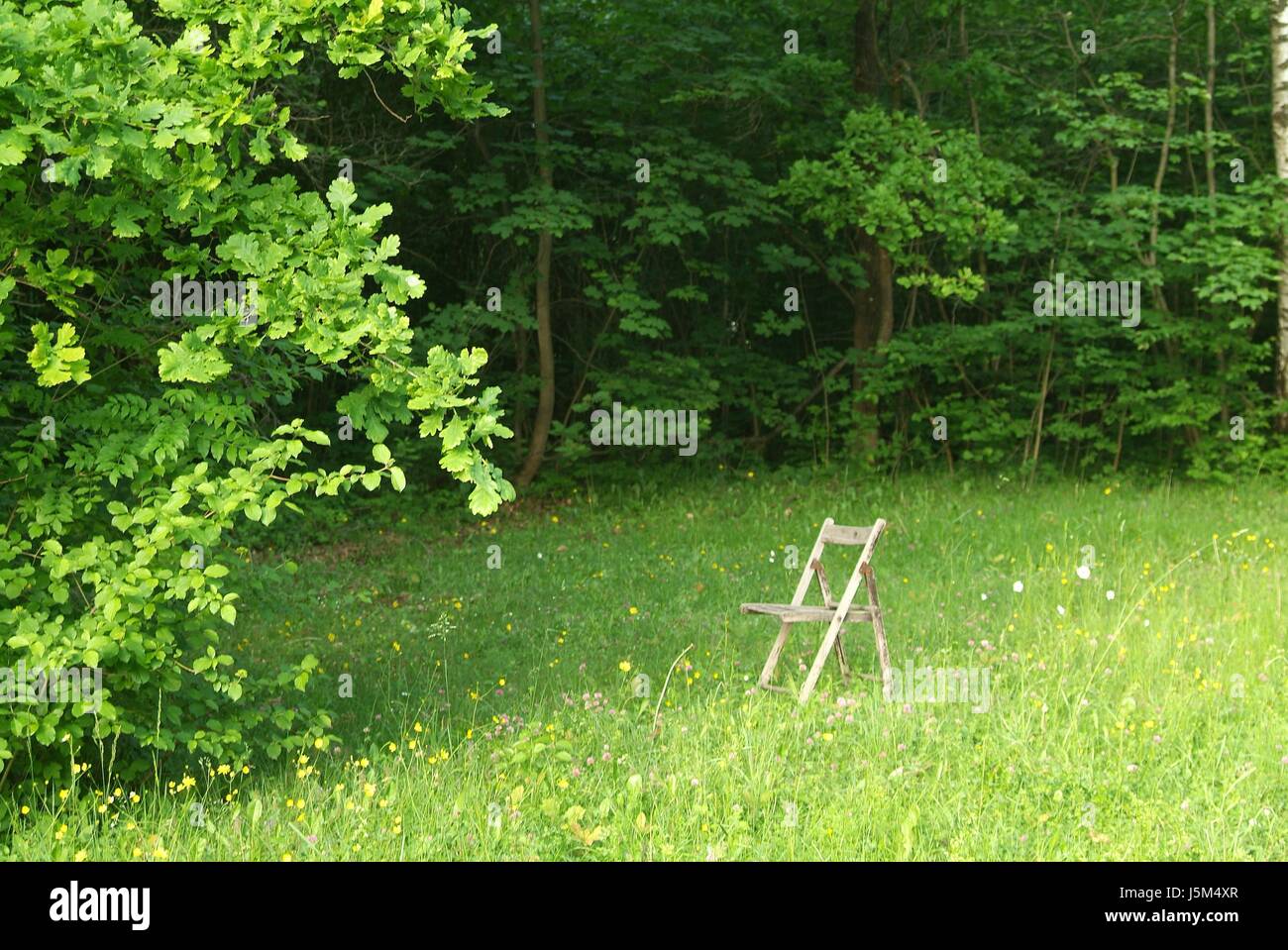 place in the green Stock Photo - Alamy