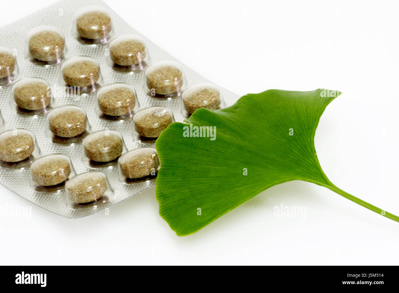 conifer pills drugs homeopathy tablets medicinal plant forgetfulness ...