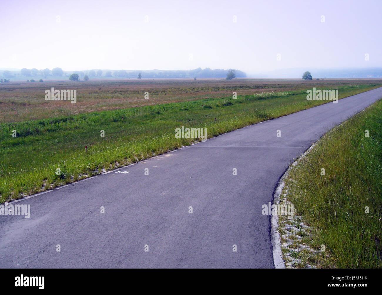 tree trees field fog asphalt reprove dike cycle track path way meadow ...