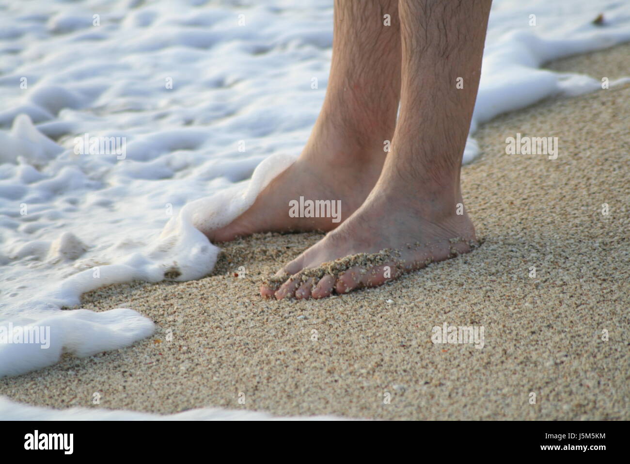 legs beach seaside the beach seashore sandy beach leg facilitate ease ...