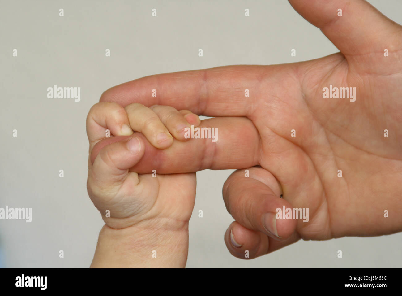 hand hands finger baby contrast hold safer child hand child stop ...