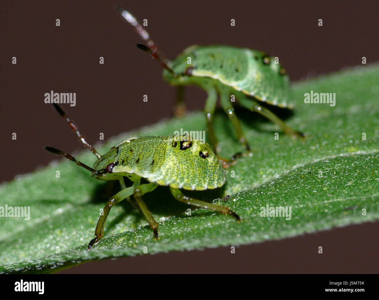 Start location hi-res stock photography and images - Alamy