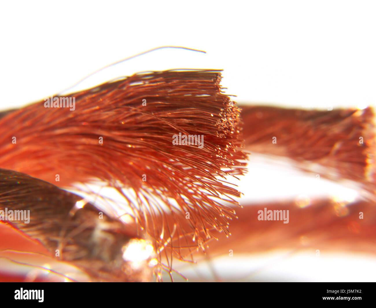 Copper strand hi-res stock photography and images - Alamy