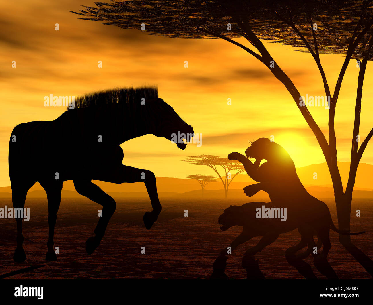 African kontinent hi-res stock photography and images - Alamy