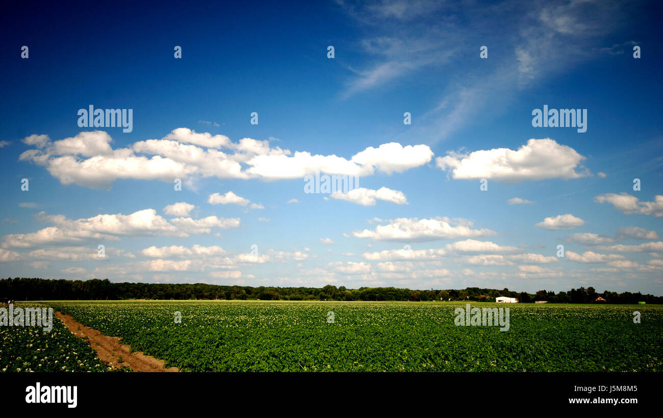 blue agriculture farming field summer summerly fields reap recording ...