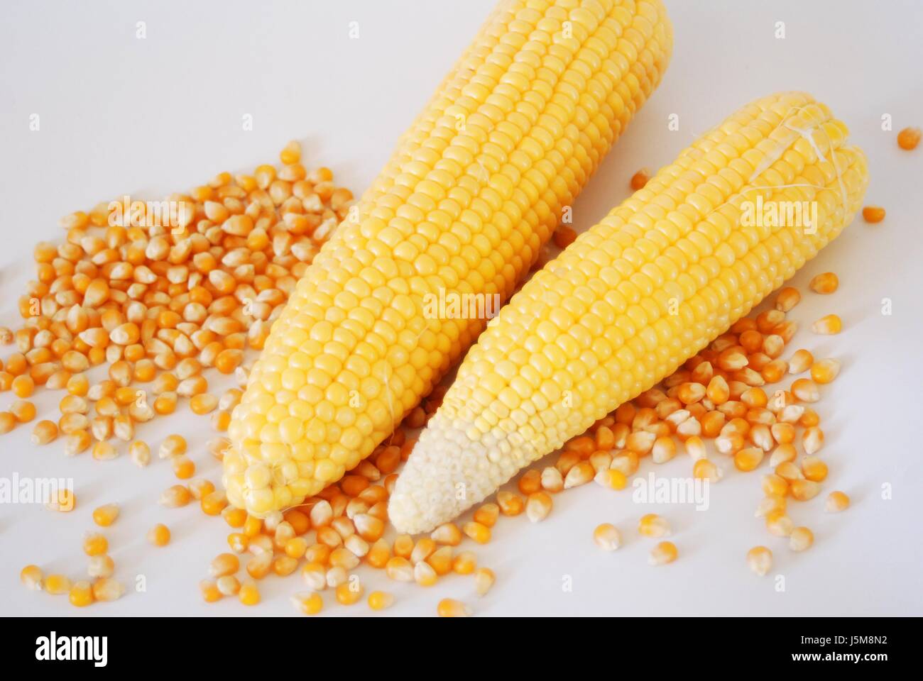 food aliment vitamins vitamines vitamine dainty corn dried corncob rich ...