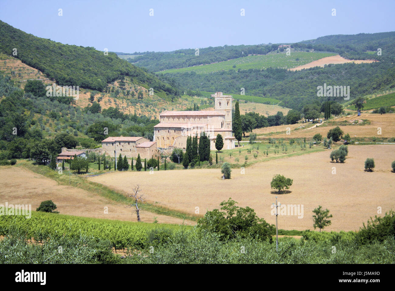 green brown brownish brunette tuscany monastery common grape vines ...