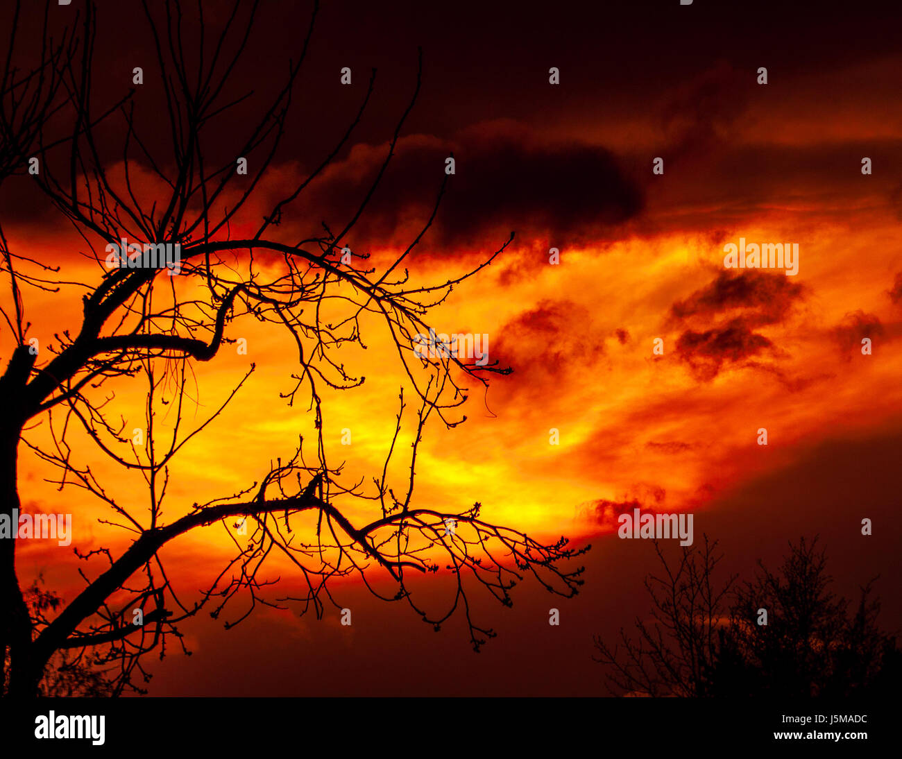 Fiery composition hi-res stock photography and images - Alamy
