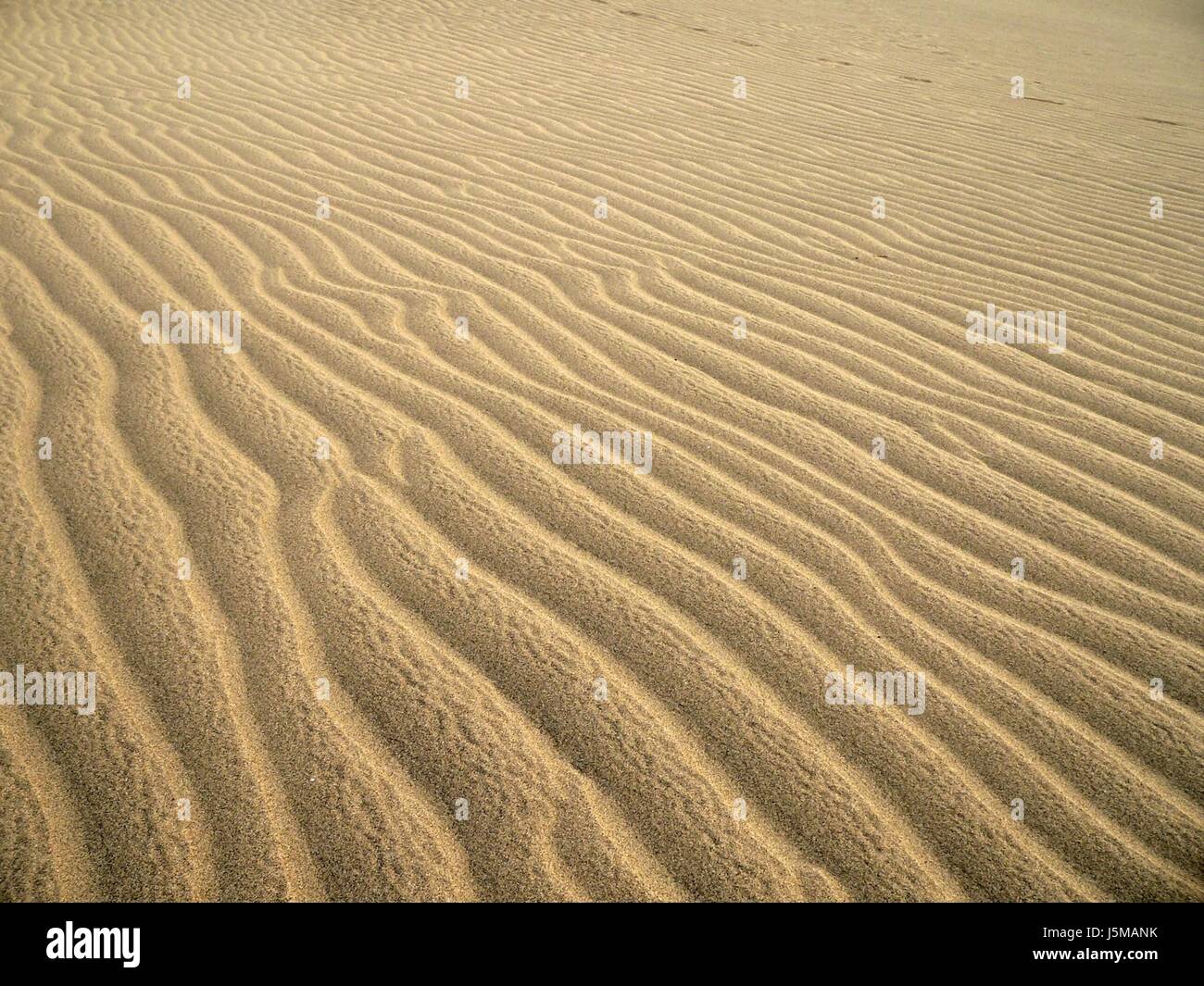 Cationer hi-res stock photography and images - Alamy