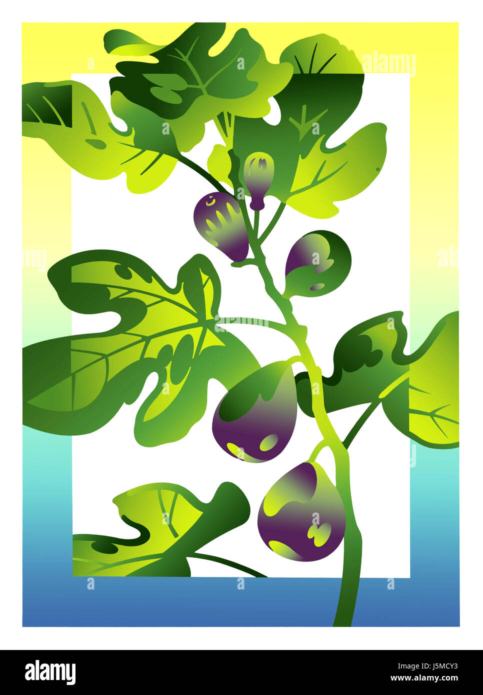 Fruits on branch Stock Photo - Alamy