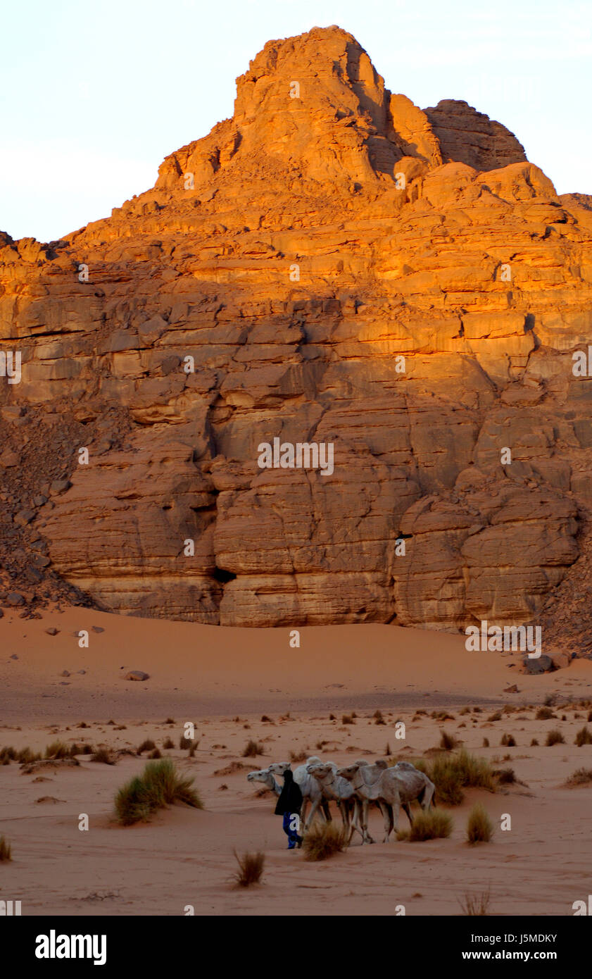 Dinner in akakus hi-res stock photography and images - Alamy