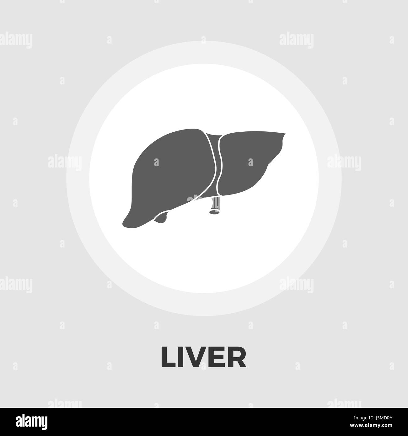 Liver icon vector. Flat icon isolated on the white background. Editable ...