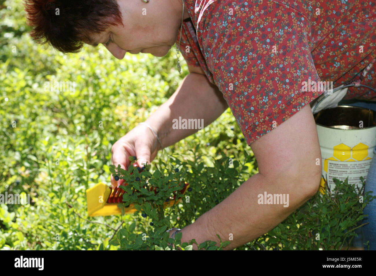 Experience collector hi-res stock photography and images - Alamy