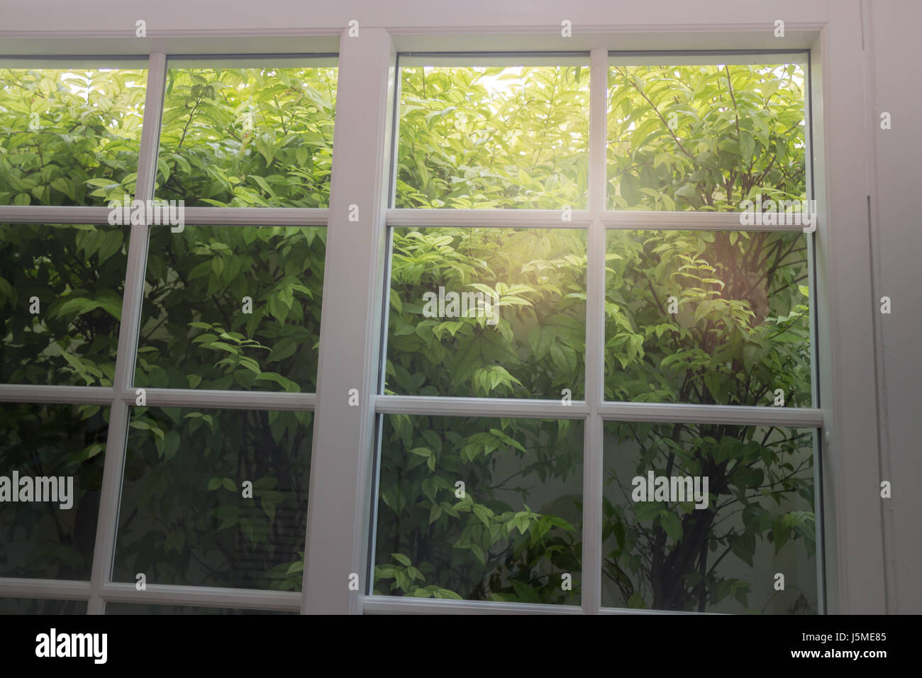 White Wooden Frame And Glass Door, stock photo Stock Photo - Alamy