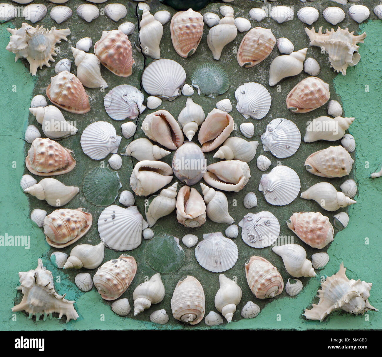 house building shell shell denmark ornament salt water water fresh ...