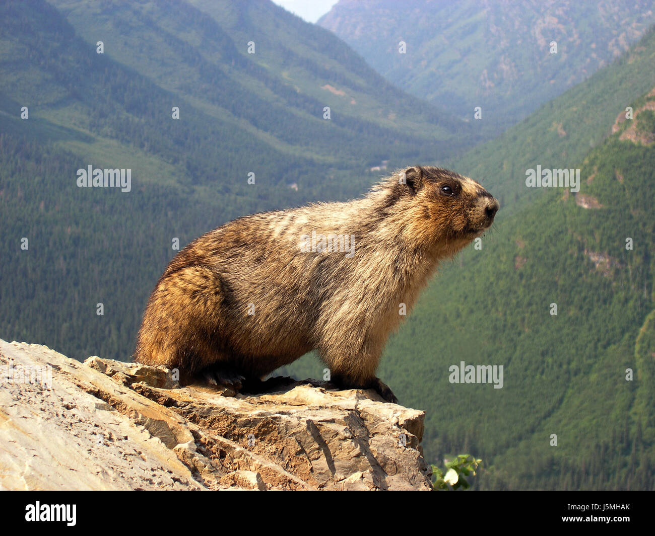 what a view Stock Photo - Alamy