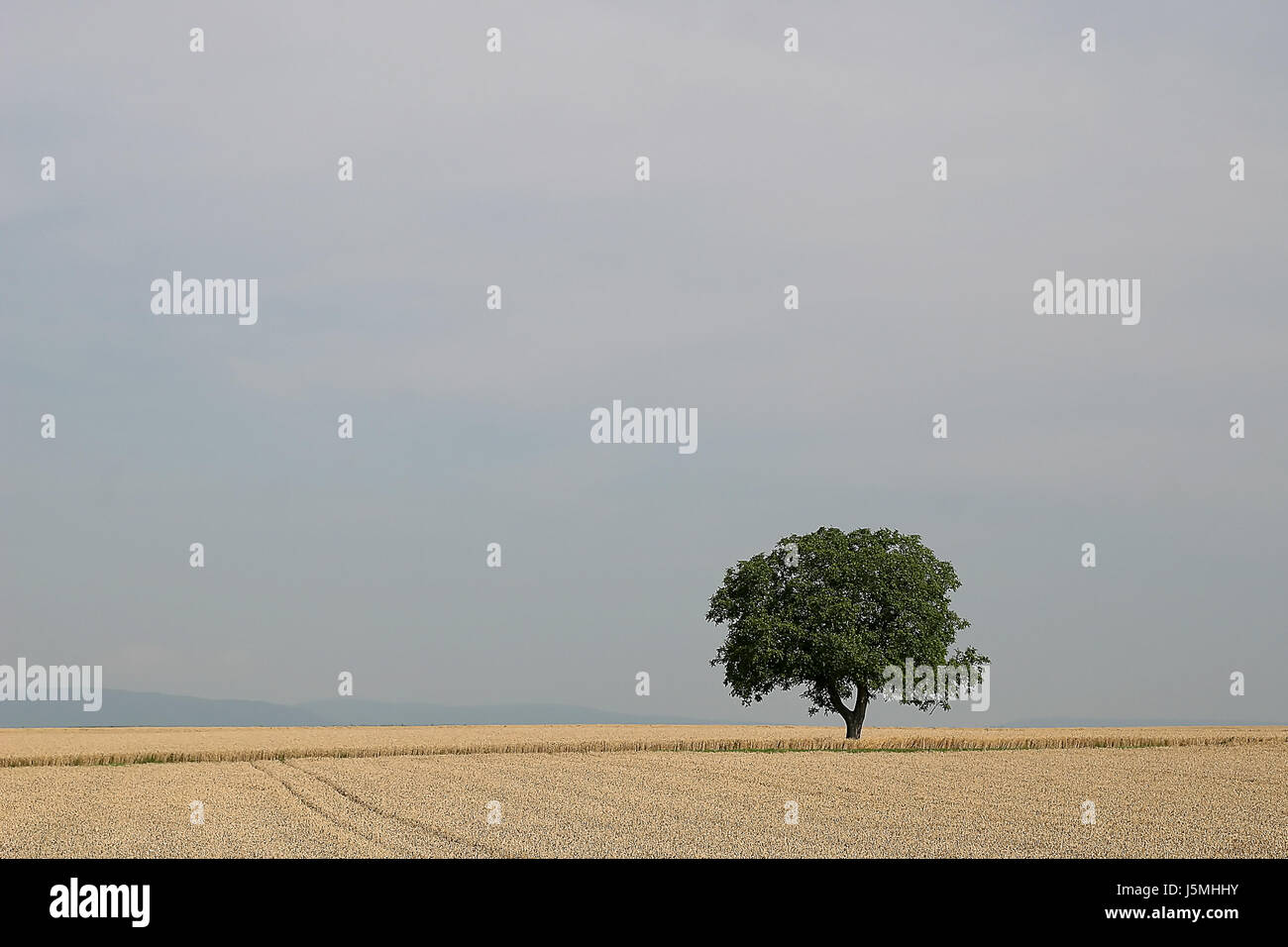20 series hi-res stock photography and images - Alamy