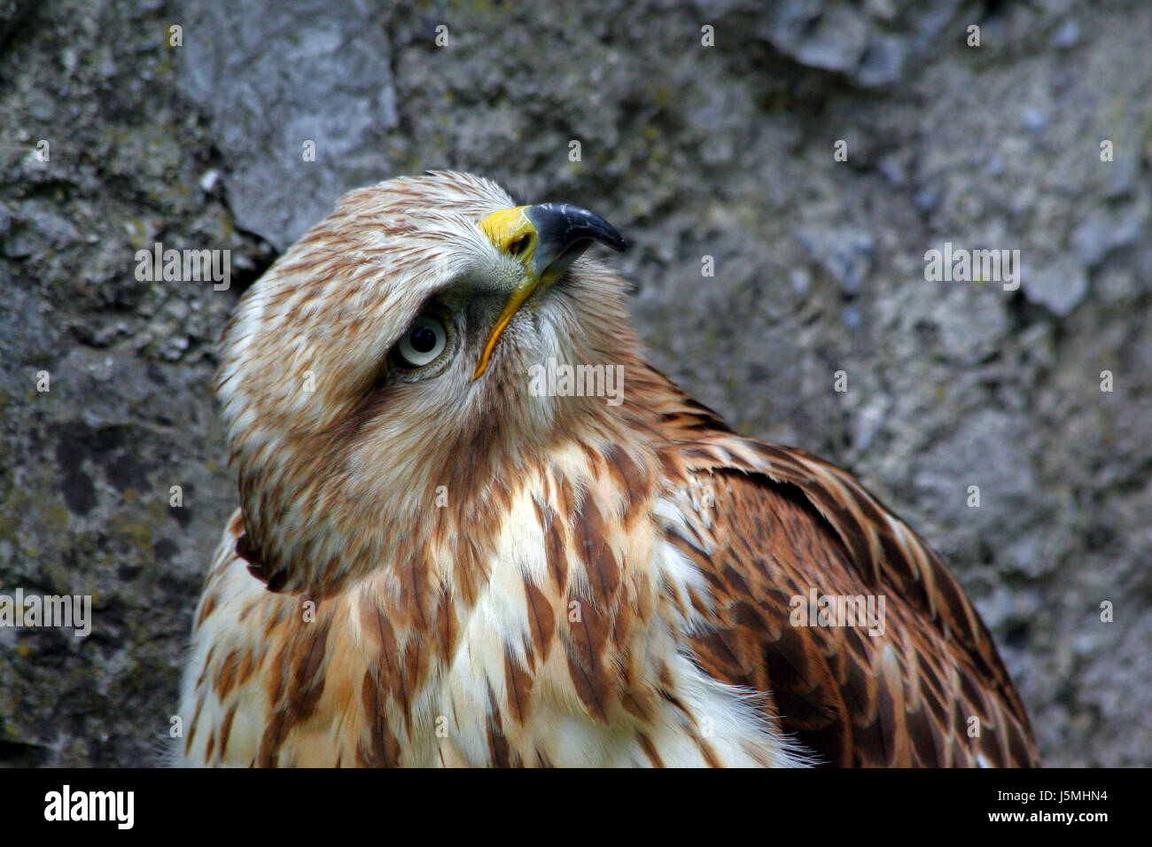 all good things come from above Stock Photo - Alamy