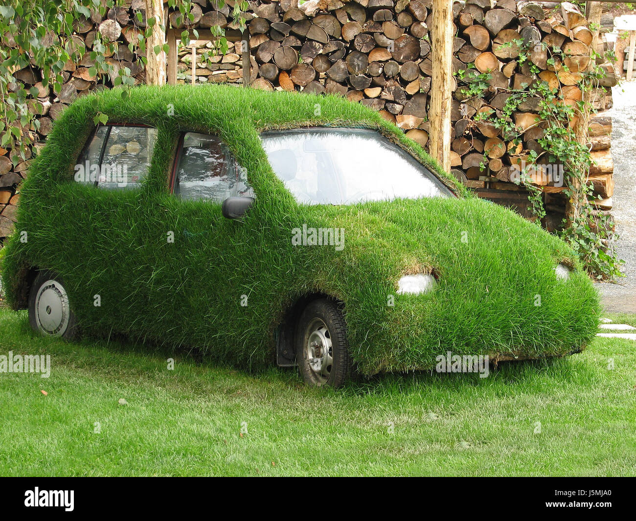 environment enviroment plant traffic transportation green car ...